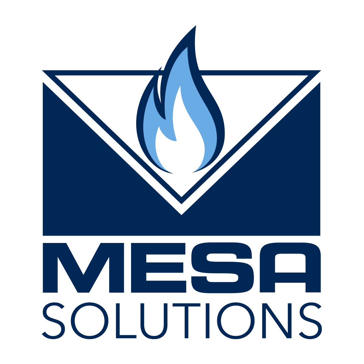 Mesa Solutions - Forum Presentation | Darcy Partners